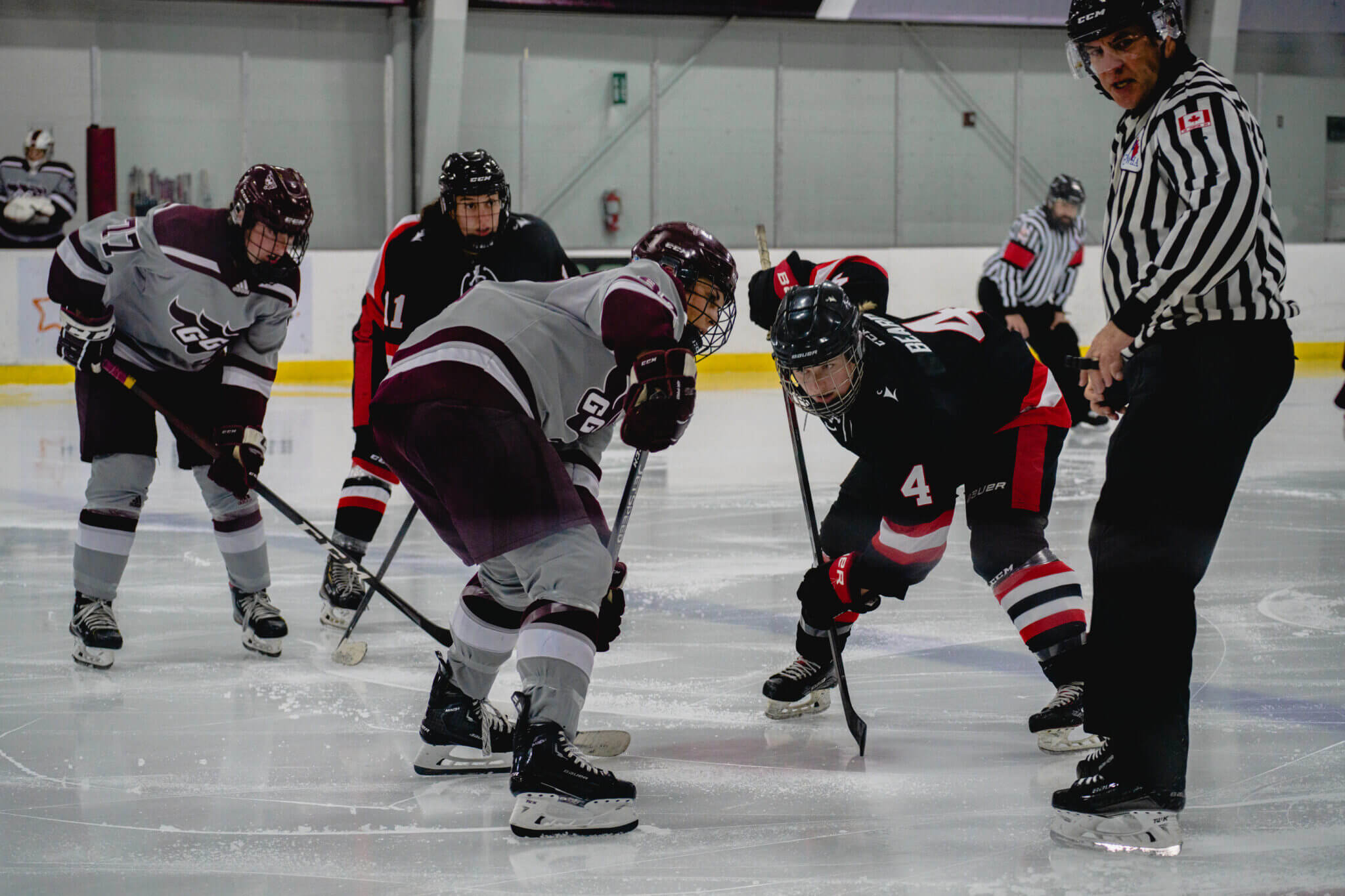 Hockey féminin : les Gee-Gees démontrent leur valeur face à leurs ...